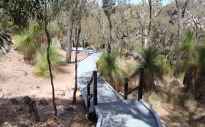 Coomba Falls Boardwalk Back On Track - southburnett.com.au