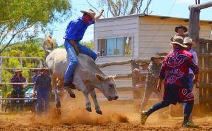 Bell Rodeo Draws Big Crowd - southburnett.com.au