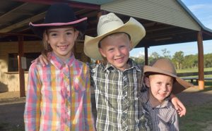 Busy Time Coming Up For Campdrafters - southburnett.com.au