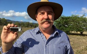 Fitness Tracker ... For Cattle - southburnett.com.au