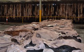 Cargill Snaps Up Rest Of Teys - southburnett.com.au