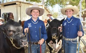 Wondai Show Looks To 2022 - southburnett.com.au