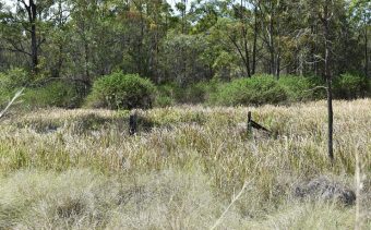 Story Of Benarkin Officially Unveiled - southburnett.com.au