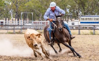 Big Weekend For Campdrafters - southburnett.com.au