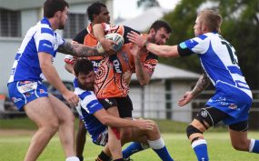 Stags Run Away ... Again - southburnett.com.au