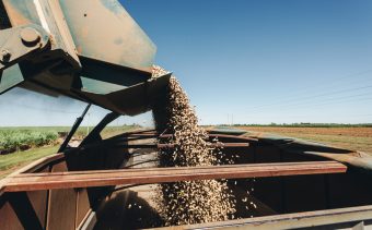 Best Peanut Intake 'In Five Years' - southburnett.com.au