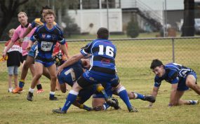 Stags Hobble Murgon Mustangs - southburnett.com.au
