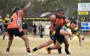 Wolves Celebrate At Home - southburnett.com.au