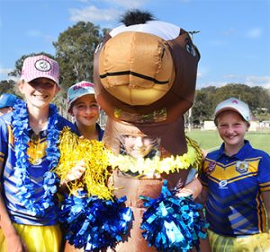 Murgon Mustangs Show Their Might - southburnett.com.au