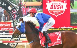 Burrandowan’s Fascinating Program - southburnett.com.au